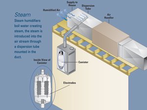 The Steamy Truth: Whole-Home Humidifiers and Your Health!